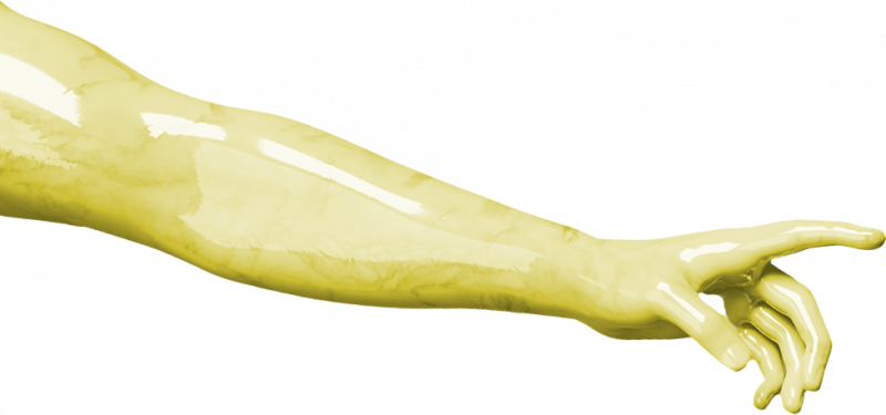 Connect with Antonio & Paris